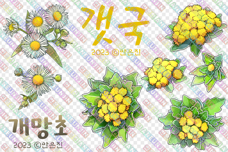 Flower Collection 1 (4 types)