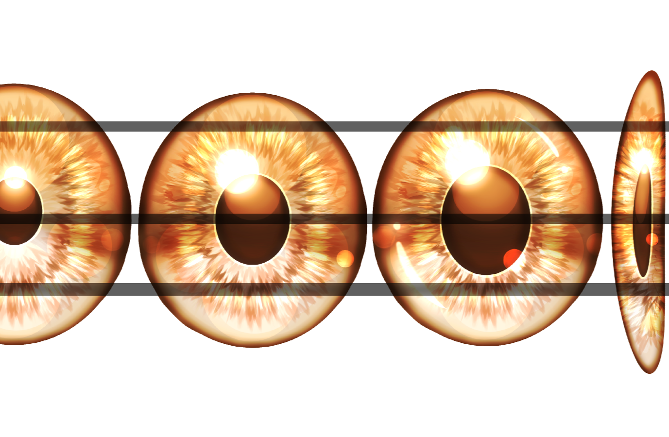 Stunning Caramel Eyes