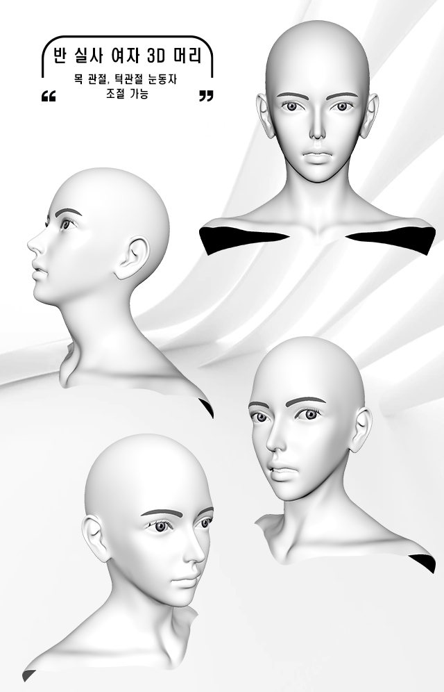 3D Romantic Pose Collection for Clip Studio