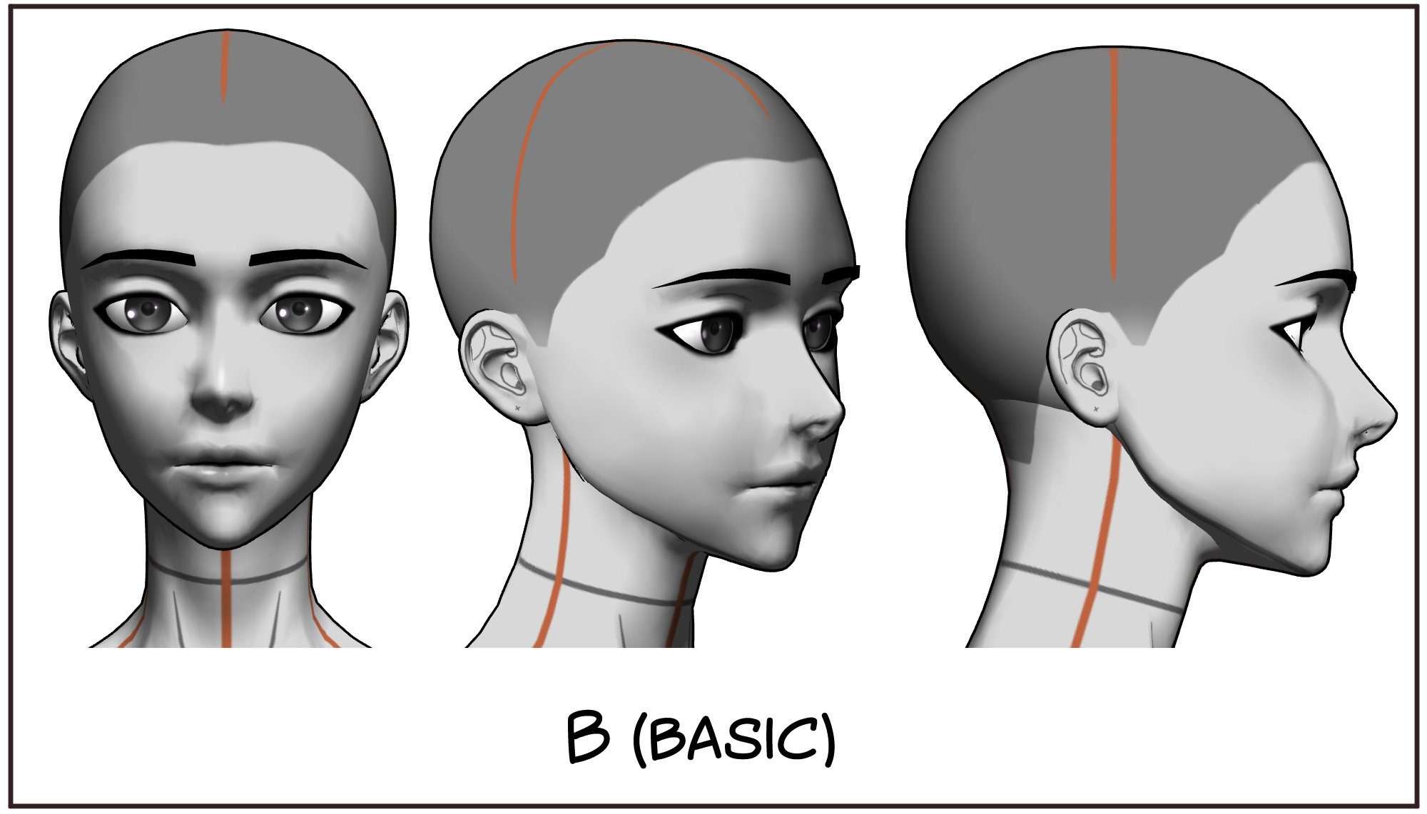 Basic Woman Head (full set)