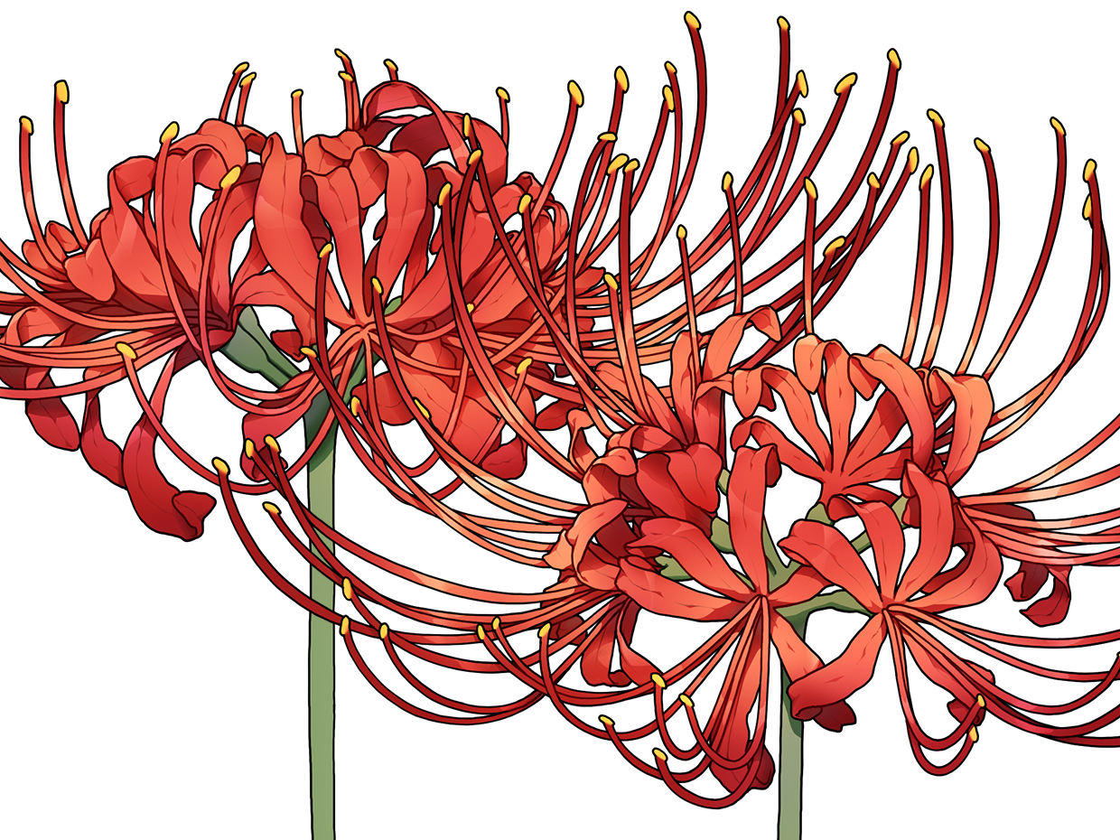 Versatile Flower Brush Collection (12 Types)